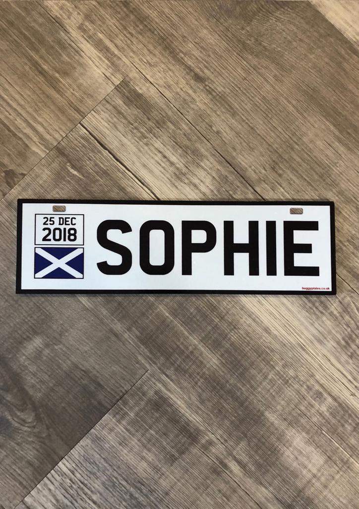 Buggy Plates - Novelty Number Plates - Free Preview